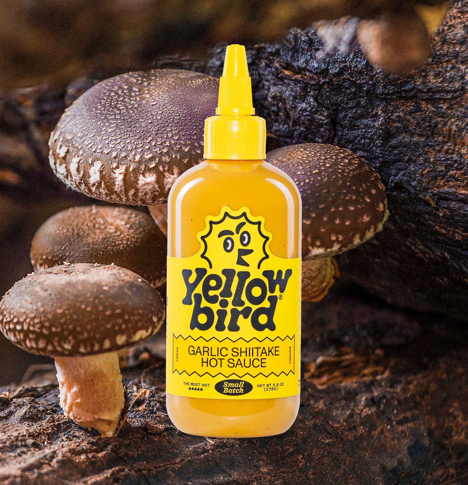 Garlic Shiitake Hot Sauce – Yellowbird®